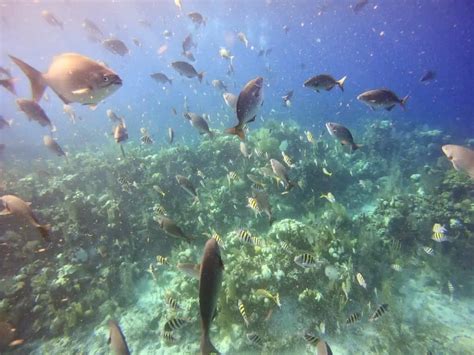 A Beautiful Belize Itinerary 7 Days Of Beaches Jungle And Ruins