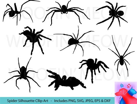 Black Spider Svg Clipart Spider Vector Image Creepy Spider Tarantula