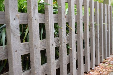 How To Make Trellis Panels Herbidacious