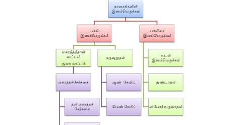 7 Std Term 1 Science Unit 5 Part 1 Notes Of Lesson I அலகு 5