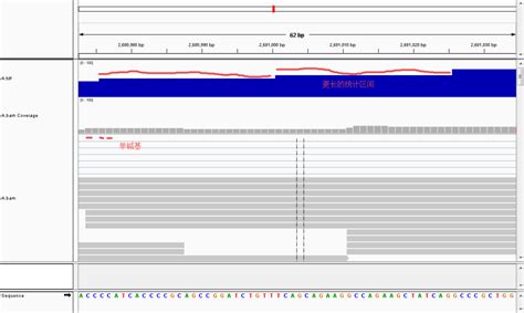 chip seq dap seq atac seq cutandtag结果可视化 igv使用攻略 知乎