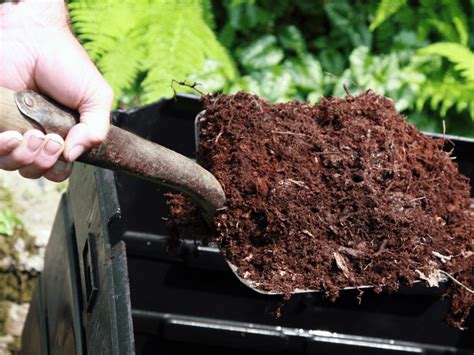 How To Make Soil Acidic Tips To Try