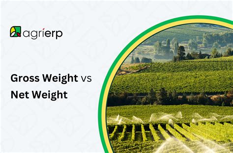 Gross Weight Vs Net Weight