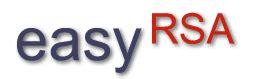 Creating Your Own Infrastructure Certificate Authority With EasyRSA Insecure Wire