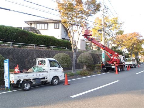 街路樹維持管理