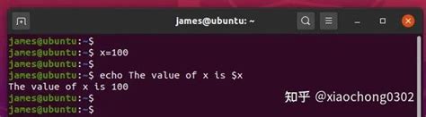 Linux Echo