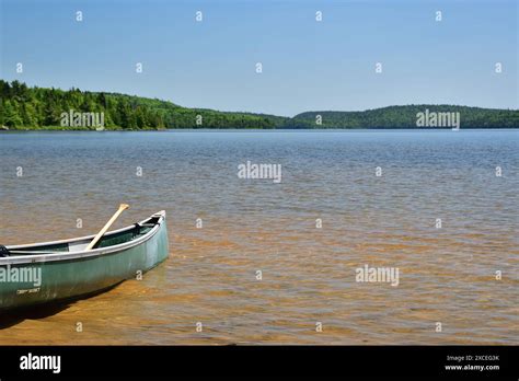 Green Canoe With Paddle Ready For Adventure On A Fresh Water Lake Copy