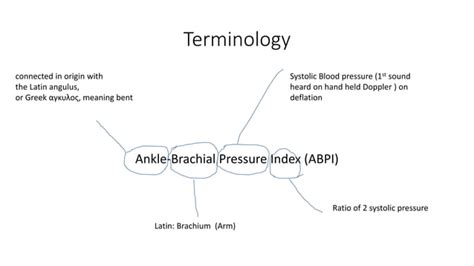 Ankle Brachial Pressure Index Abpi Pptx