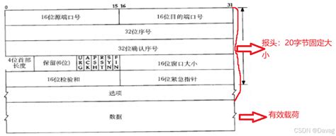 Udp和tcp协议段格式分析