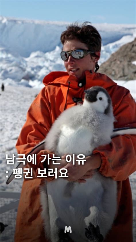 여행몬스터 2025년 1월 25일 저녁 태양계의 6개 행성인 금성 화성 목성 토성 천왕성 해왕성이 한 줄로