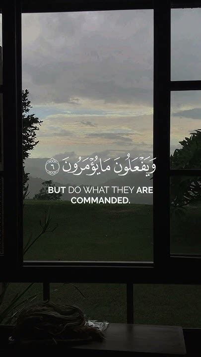 يَا أَيُّهَا الَّذِينَ آمَنُوا قُوا أَنْفُسَكُمْ وَأَهْلِيكُمْ نَارًا Youtube