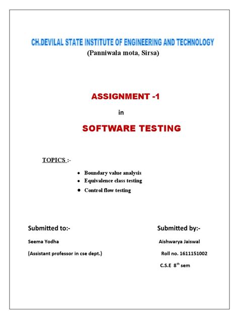 assignment pdf software testing computer program