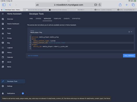 Cannot Call Mediaplayerplay With Mediacontenttype Custom · Issue 1880 · Alandtsealexa