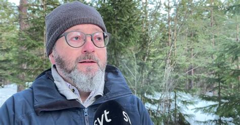 Holmen Skog Svarar På Kritiken Om Drevjakten I Örnsköldsvik Svt Nyheter