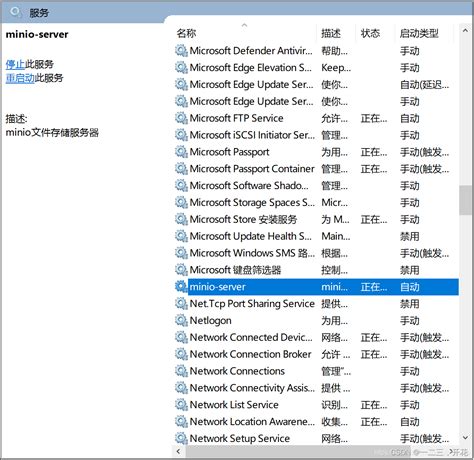 windows安装minio分布式存储并自启动 windows启动minio 一二三，开花的博客 csdn博客