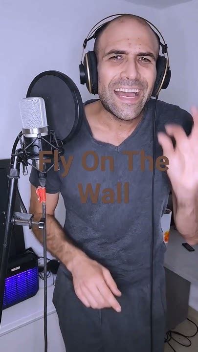 You May Not Have Noticed But I Dressed The Part Of A Fly One The Wall