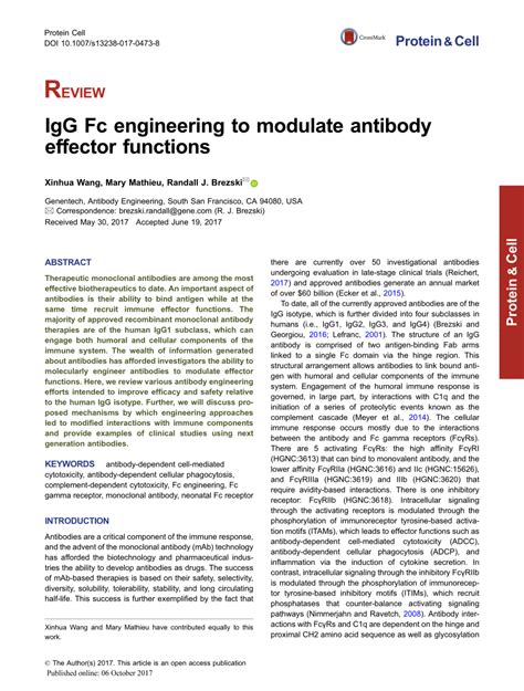 Pdf Igg Fc Engineering To Modulate Antibody Effector Functions