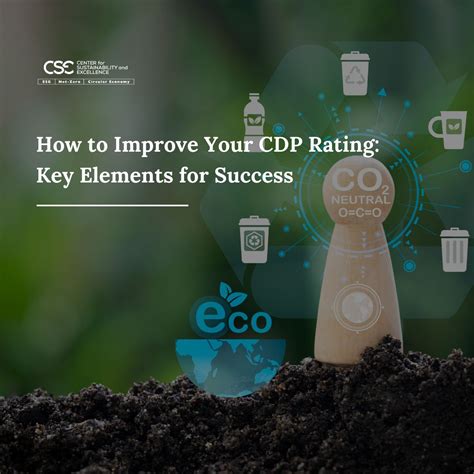 Center For Sustainability And Excellence Cse On Linkedin Cdp Cse