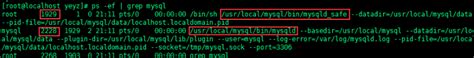 Mysql My Cnf