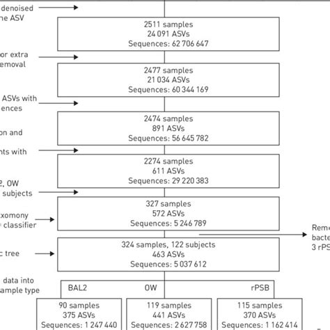 Sample Flow Chart Of Data Processing Dada2 Divisive Amplicon Download Scientific Diagram