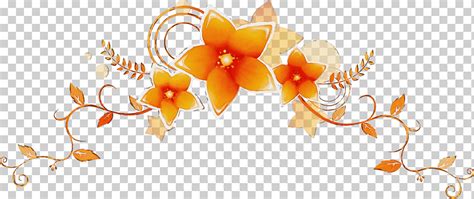 สีส้ม เส้นขอบดอกไม้ พื้นหลังดอกไม้ สีน้ำ สี หมึกเปียก พืช กลีบ