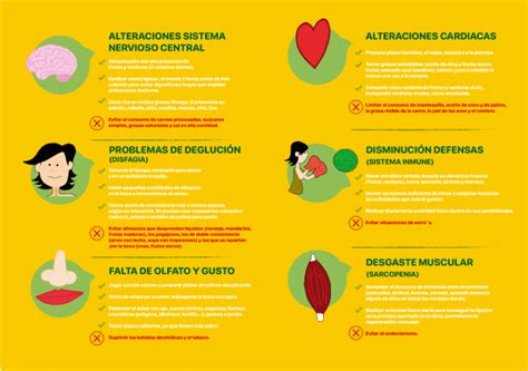 ¿cuáles Son Las Recomendaciones Nutricionales Diarias Mibbmemima ️