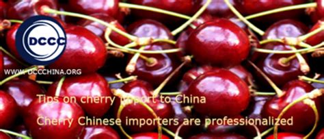 2025 China Import Export Tariffs Explained