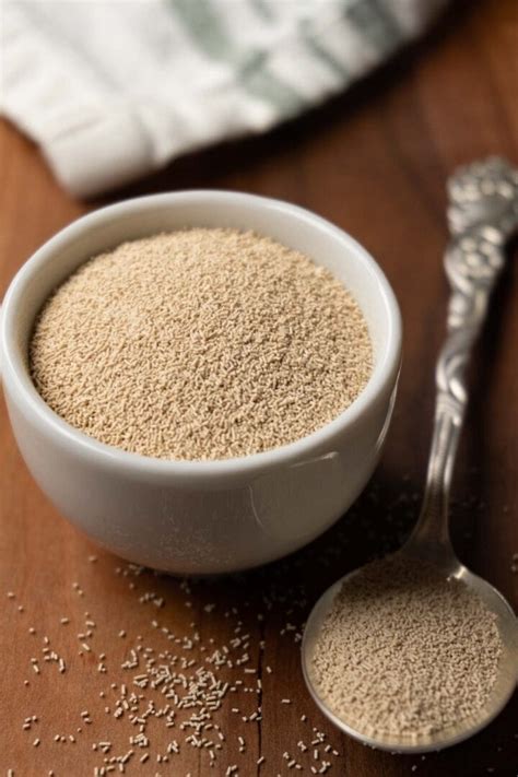 Types Of Yeast And How To Use Them In Baking Sugar Pursuit