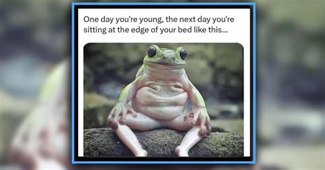 Kermit Shower Memes