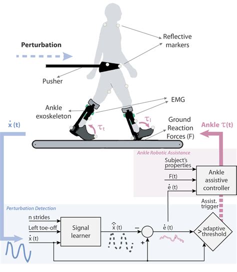 controller overview the real time perturbation detection algorithm