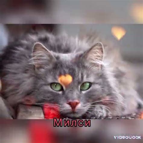 Эдит а ну ка давай ка💖 Youtube