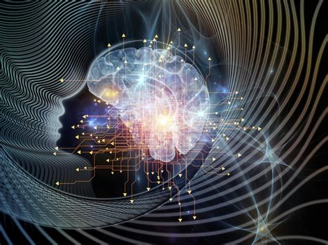 Eran Shlomo On Linkedin Why Every Startup Needs To Be Ai Native