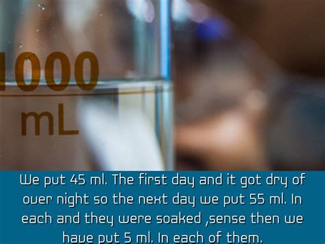 Bean Experiment By Gumiecam