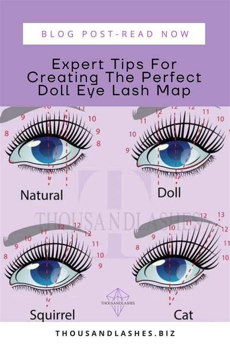 Expert Tips For Creating The Perfect Doll Eye Lash Map Doll Eyes