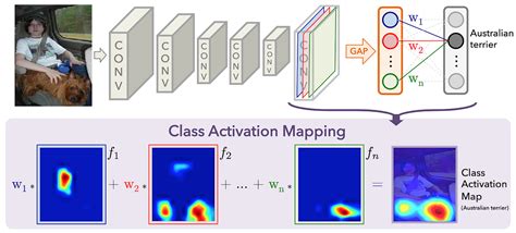 Class Activation Maps This Work Is A Part Of The Ai Without By