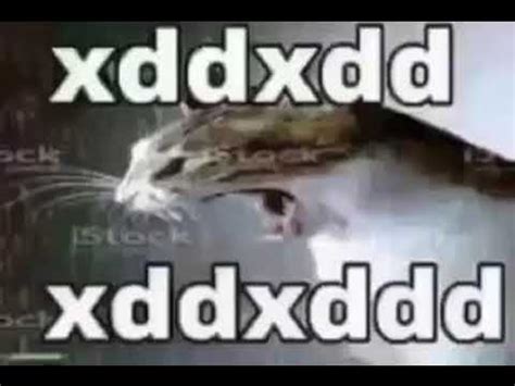 risa gato botón de efectos de sonido instantáneos Myinstants