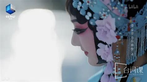 《曹雪芹与红楼梦》1 6全集剧情介绍播出时间演员表分集剧情 《曹雪芹与红楼梦》2021电视剧 台词课