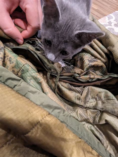 Got My First Surplus Woobie And It Smells Like Gunpowder R Tacticalgear
