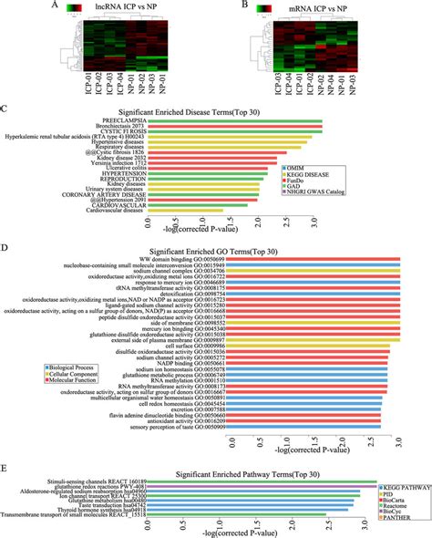 Hierarchical Clustering Of A Lncrna And B Mrna Differential Expression Download Scientific