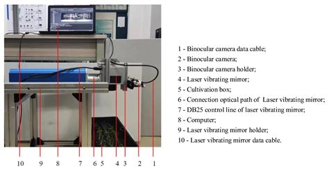 Yolov7 Based Intelligent Weed Detection And Laser Weeding System