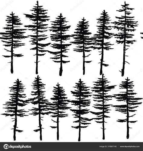 Pine Trees Drawing