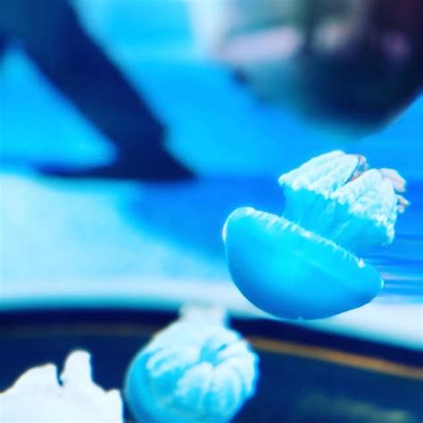 Aqua Aqua1018 • Threads Say More
