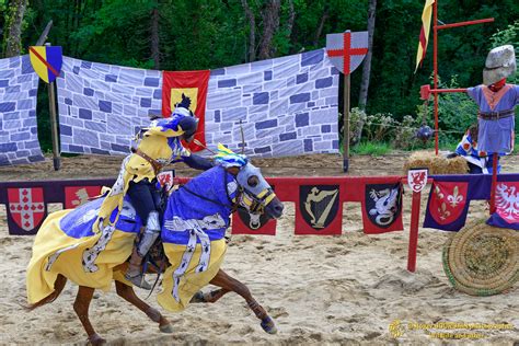 Medieval Faye Castle Roger Jourdain Best Of The Best Fiap 2016 And 2017