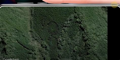 Un bosque misterioso en Japón donde los árboles crecen en círculos Genial