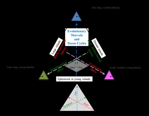 Conceptual Phenomenological Model Describing Conditions Promoting