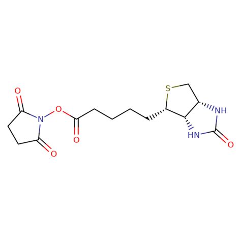Biotin Succinimidyl Ester 35013 72 0 Fb10303