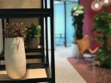 Jungle Offices Diegem