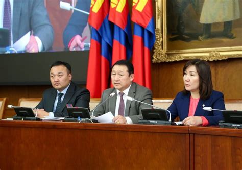 Д Тогтохсүрэн Хуулинд англи хэлийг онцолж тусгахгүй