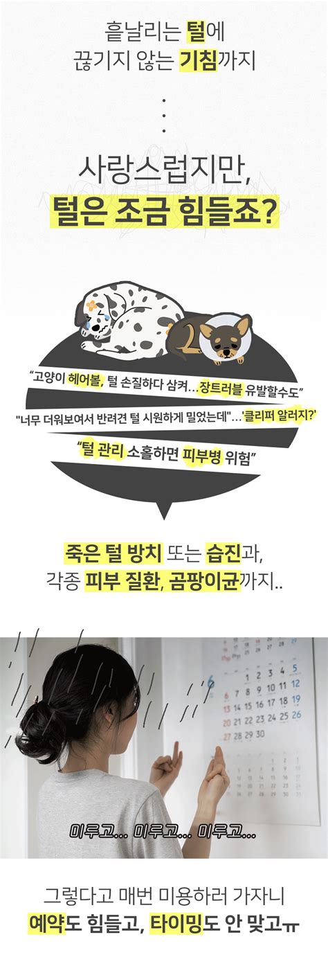아이프리 펫 시리즈 강아지 고양이 털 대용량 청소기 애견 미용 바리깡 브러쉬 감도 깊은 취향 셀렉트샵 29cm