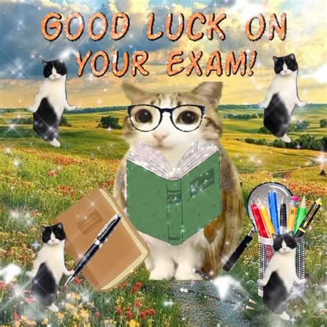 Exam Memes For Good Luck